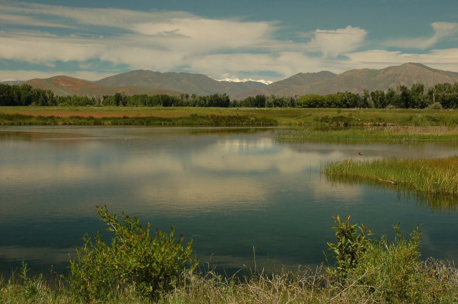 Idaho Nature Notes: Heart Rock Ranch