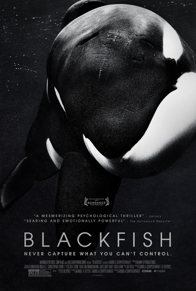 Tráiler | Blackfish, de Gabriela Cowperthwaite