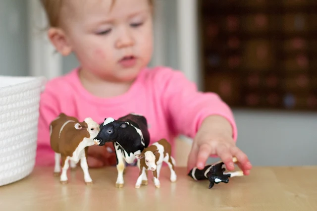 Object-to-Object Matching for Montessori Toddlers