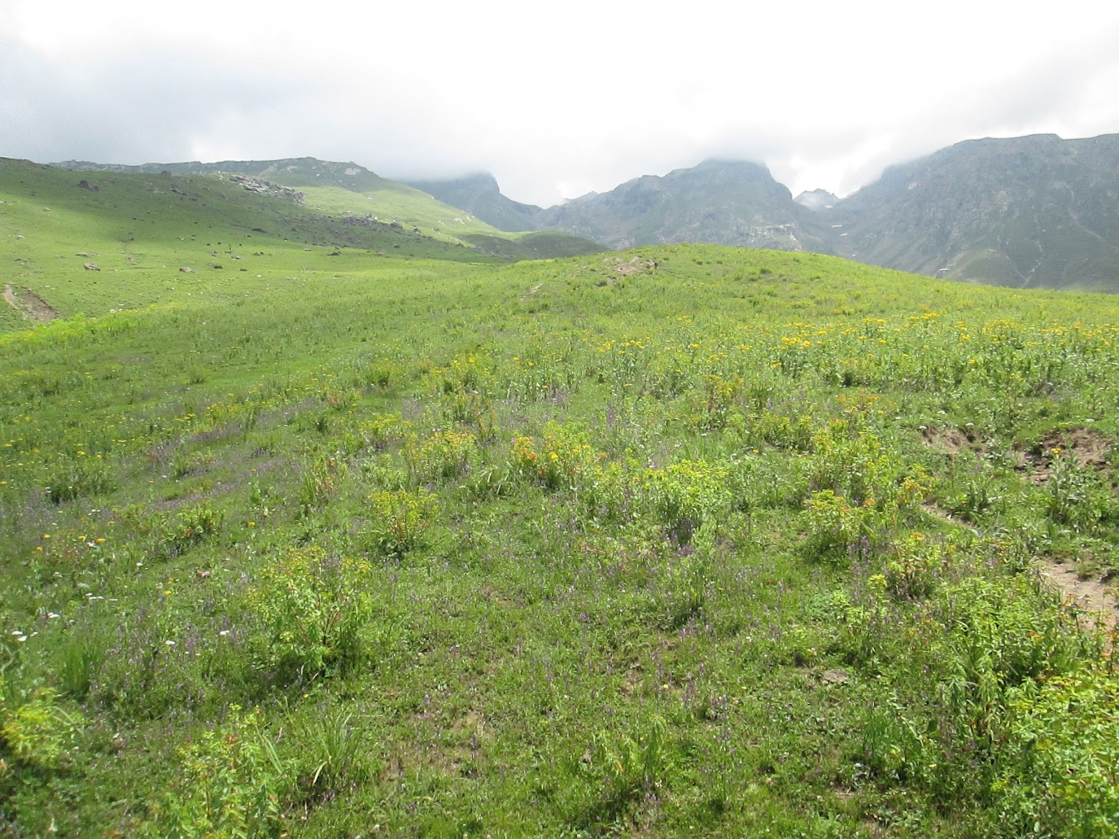 desan valley: desan valley