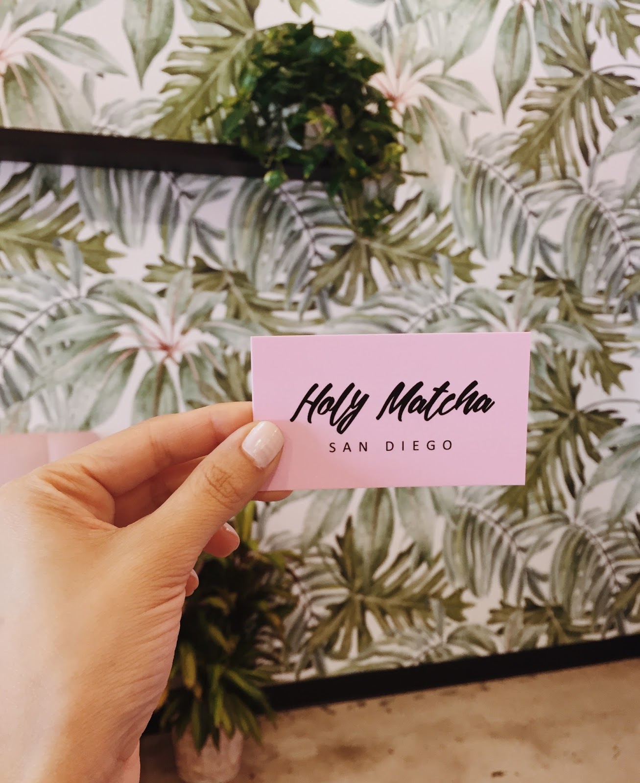 Holy Matcha | StephC