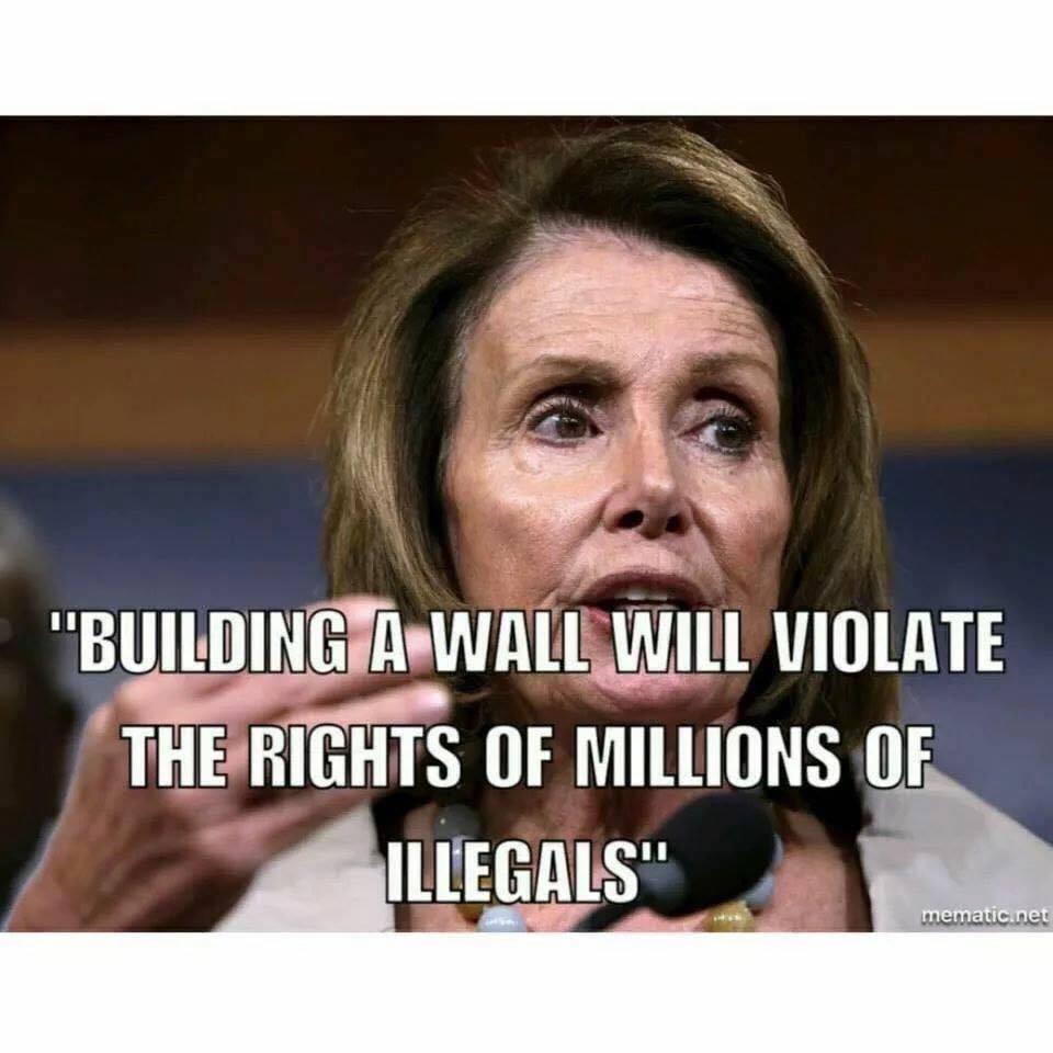 Woodsterman: Over Flowing With Lib Memes ... Again Still