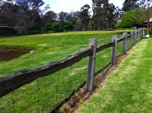 Palisade Fence | High Security Solution: Professional And Traditional ...