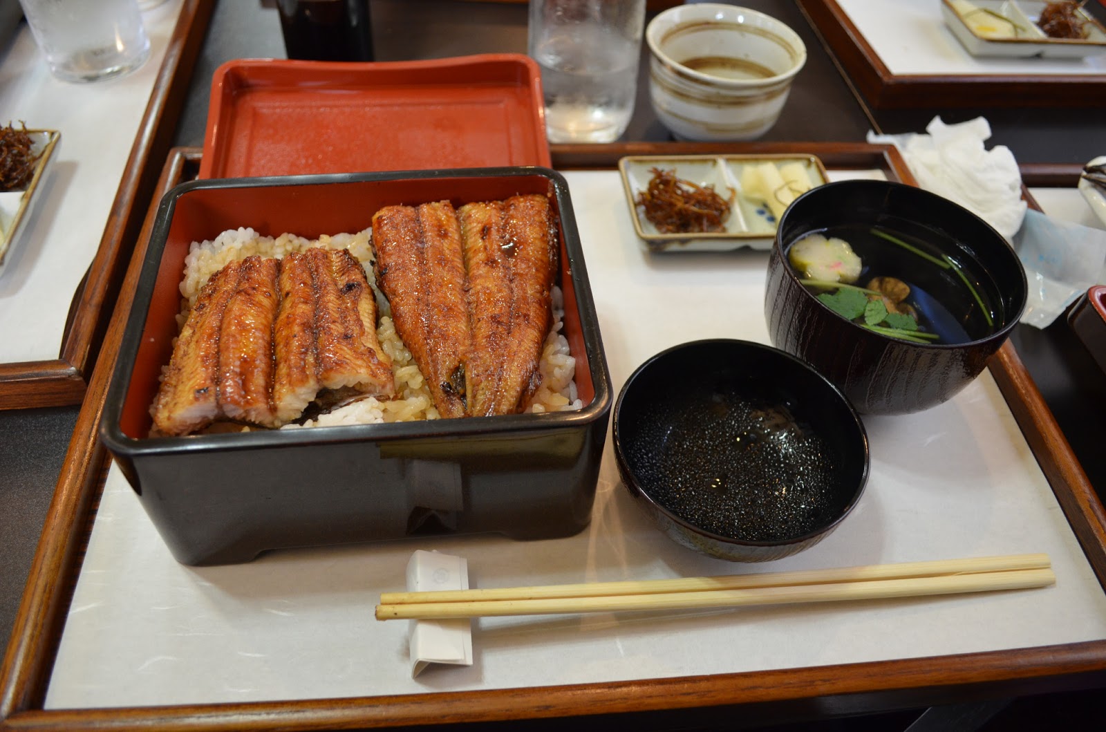 Eldora the Explorer: Plum (ume) tree viewing