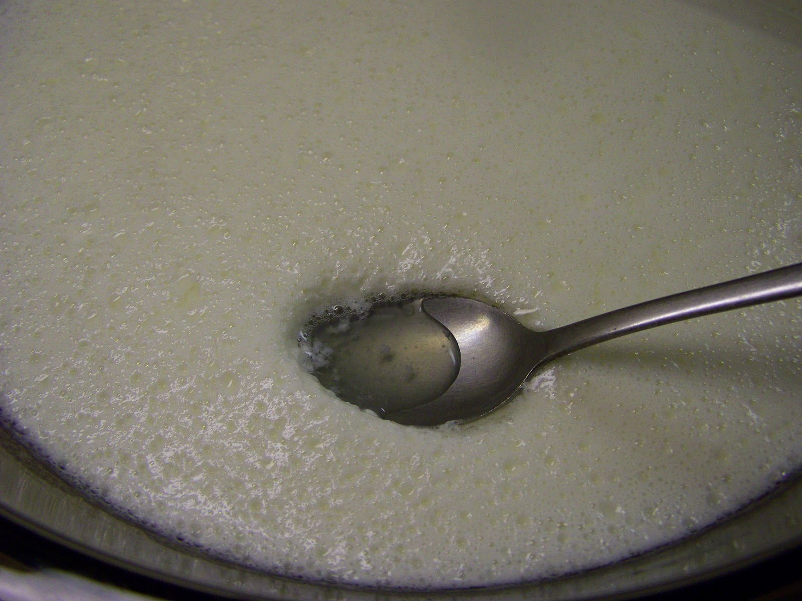 Poppy Juice: How to Make Homemade Yogurt - Easy and Wholesome!