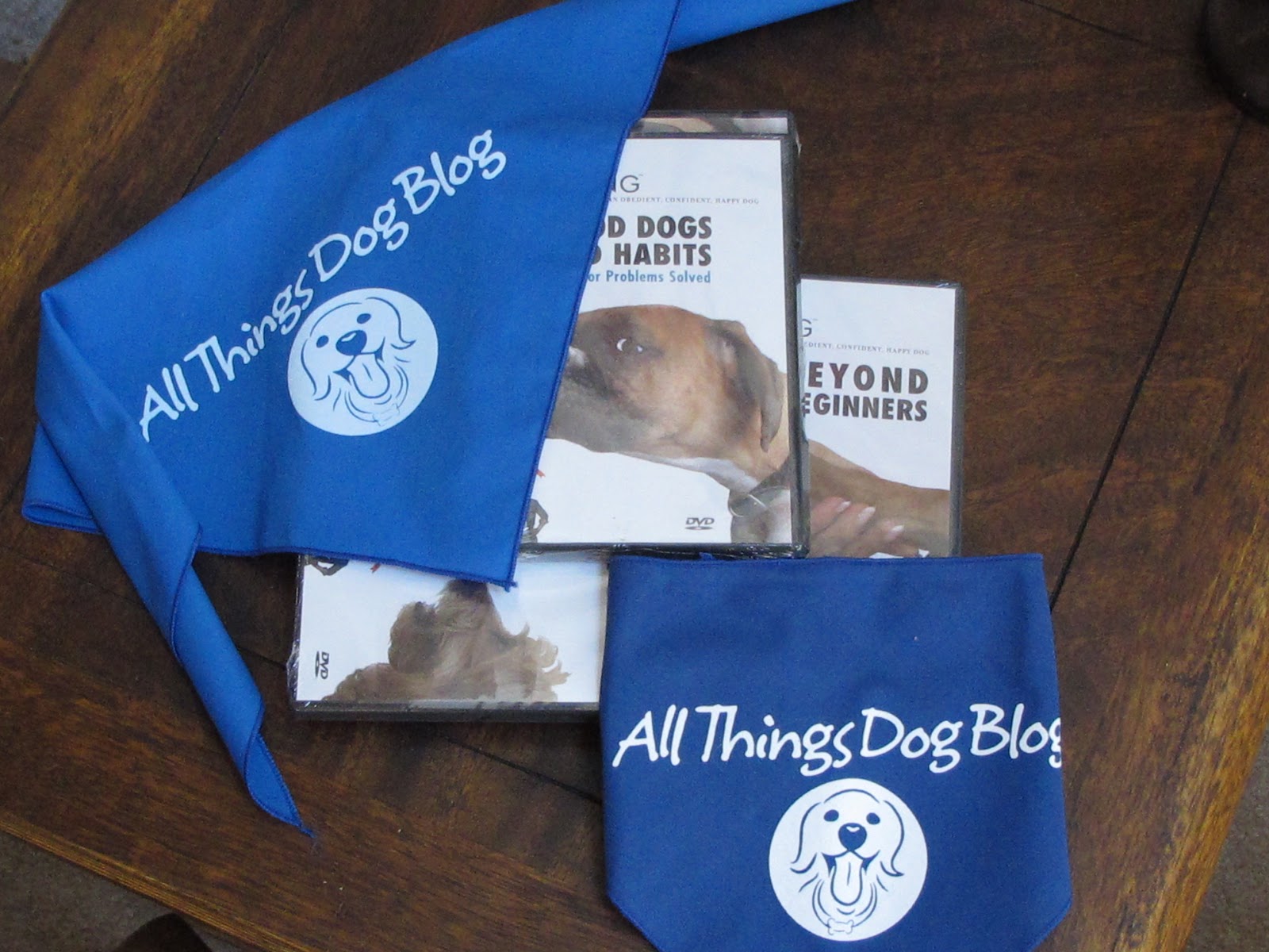 All Things Dog Blog