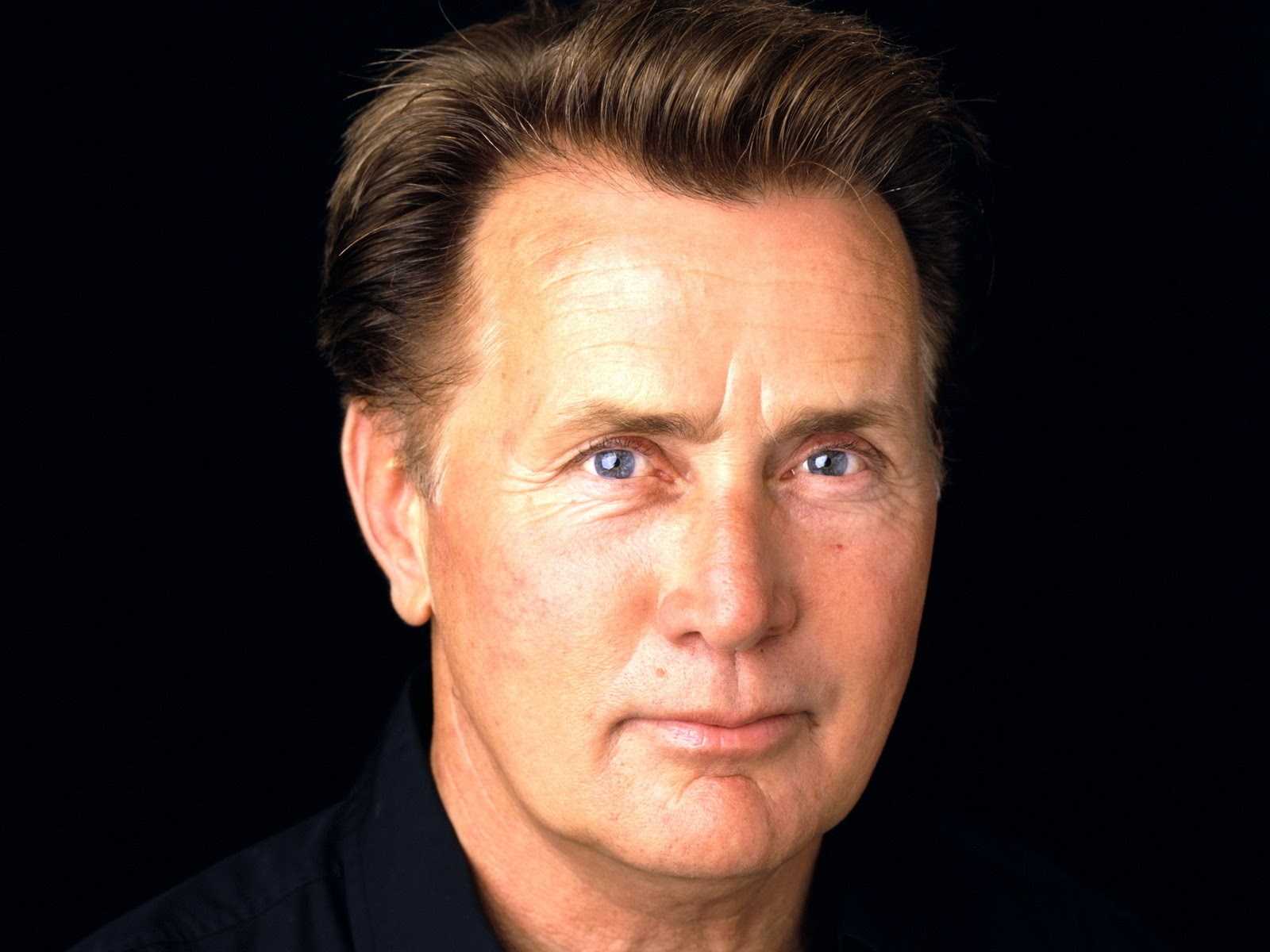 The Movies Of Martin Sheen | The Ace Black Movie Blog