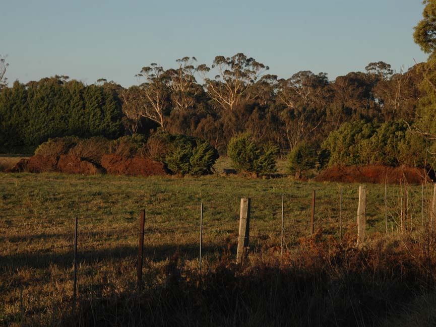The Nature of Robertson: New way of "laying" hedges.