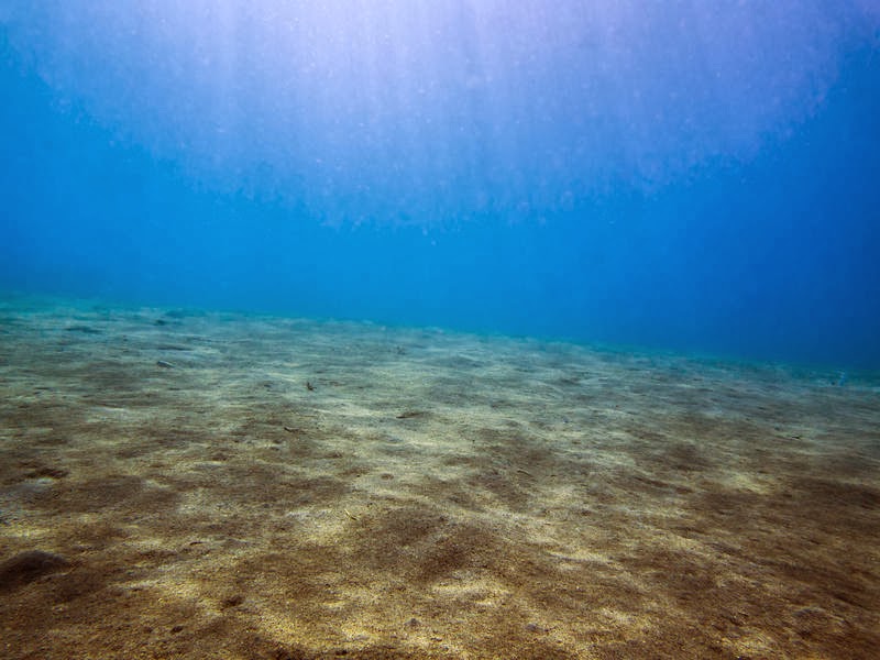 Oceanography: Vast Freshwater Reserves Found Beneath the Oceans