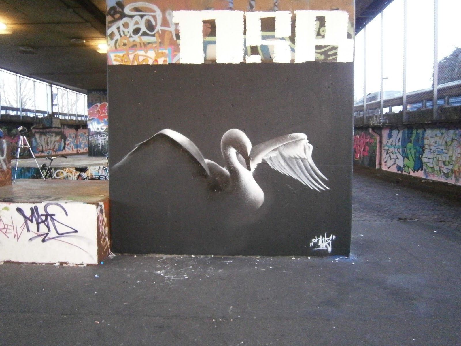Lowland Graffiti: Swan