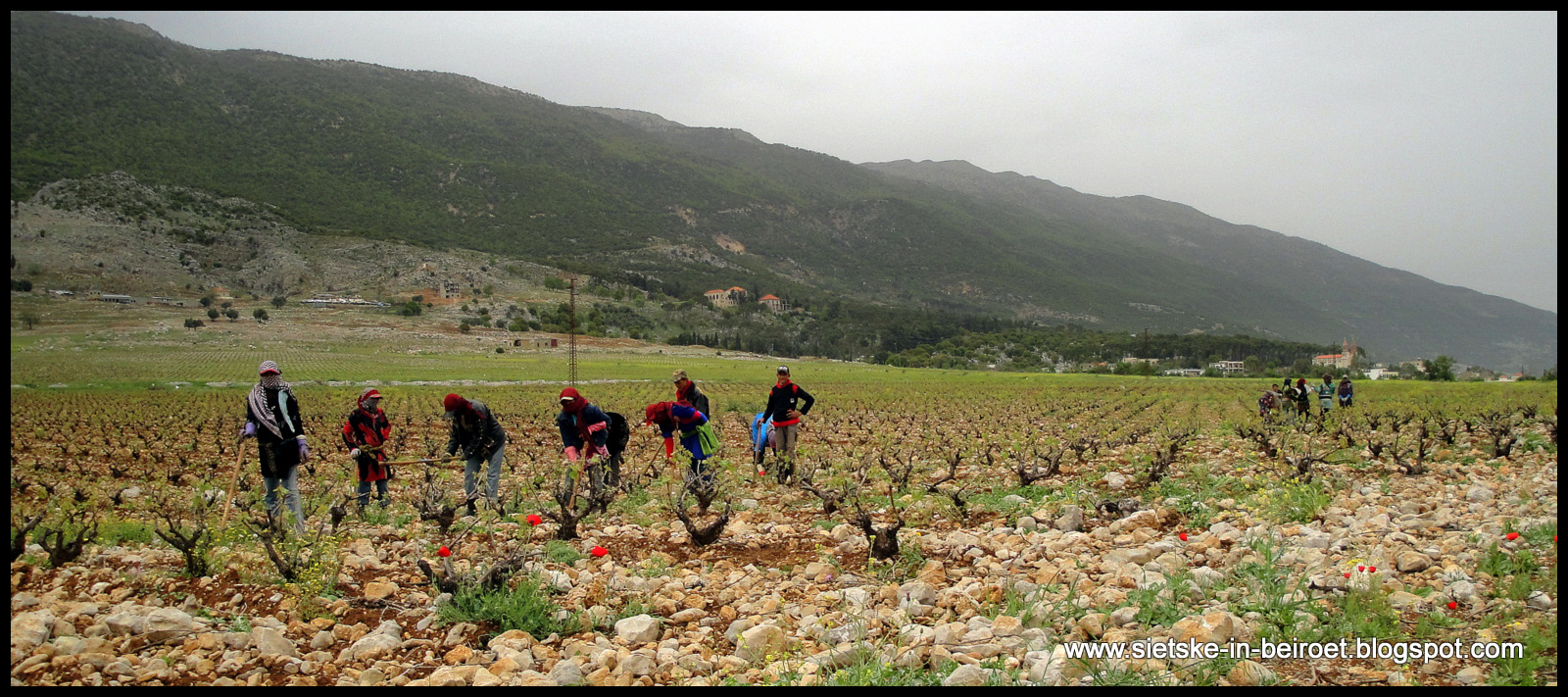 .: Road Trip to Jezzine