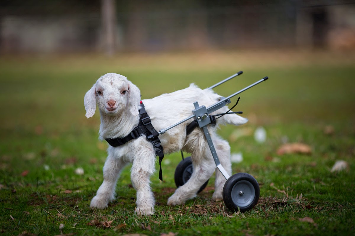 CUT and DRY : May 2014