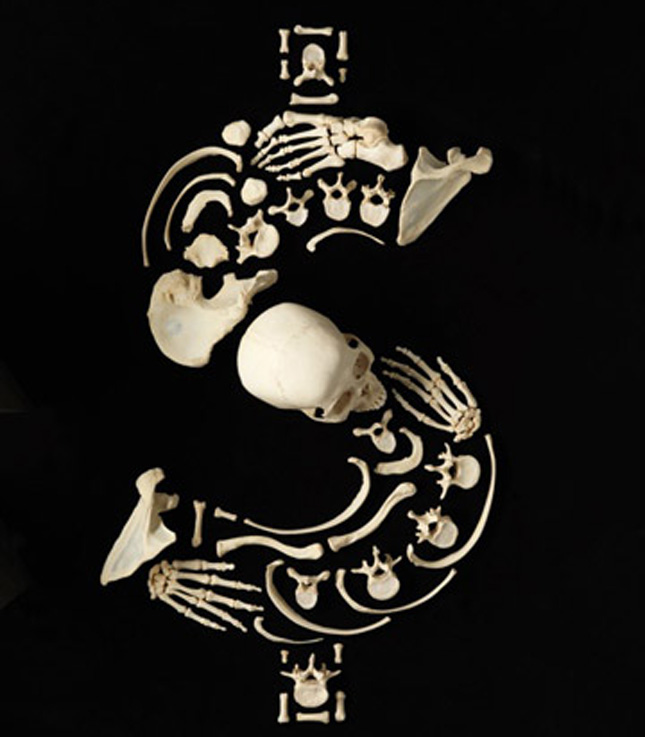 Simply Creative: Bone Art by Francois Robert