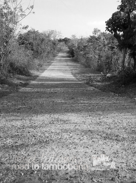 Rough Road to Tambobong Beach | Photos - Travex Travels - Travel ...