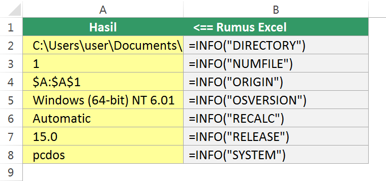 Cara Menggunakan Fungsi INFO di Microsoft Excel - Rumus Excel