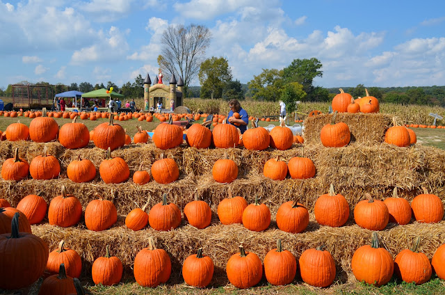Sunny Days and Other Things: Buckland with Bear and Mexican Chicken ...