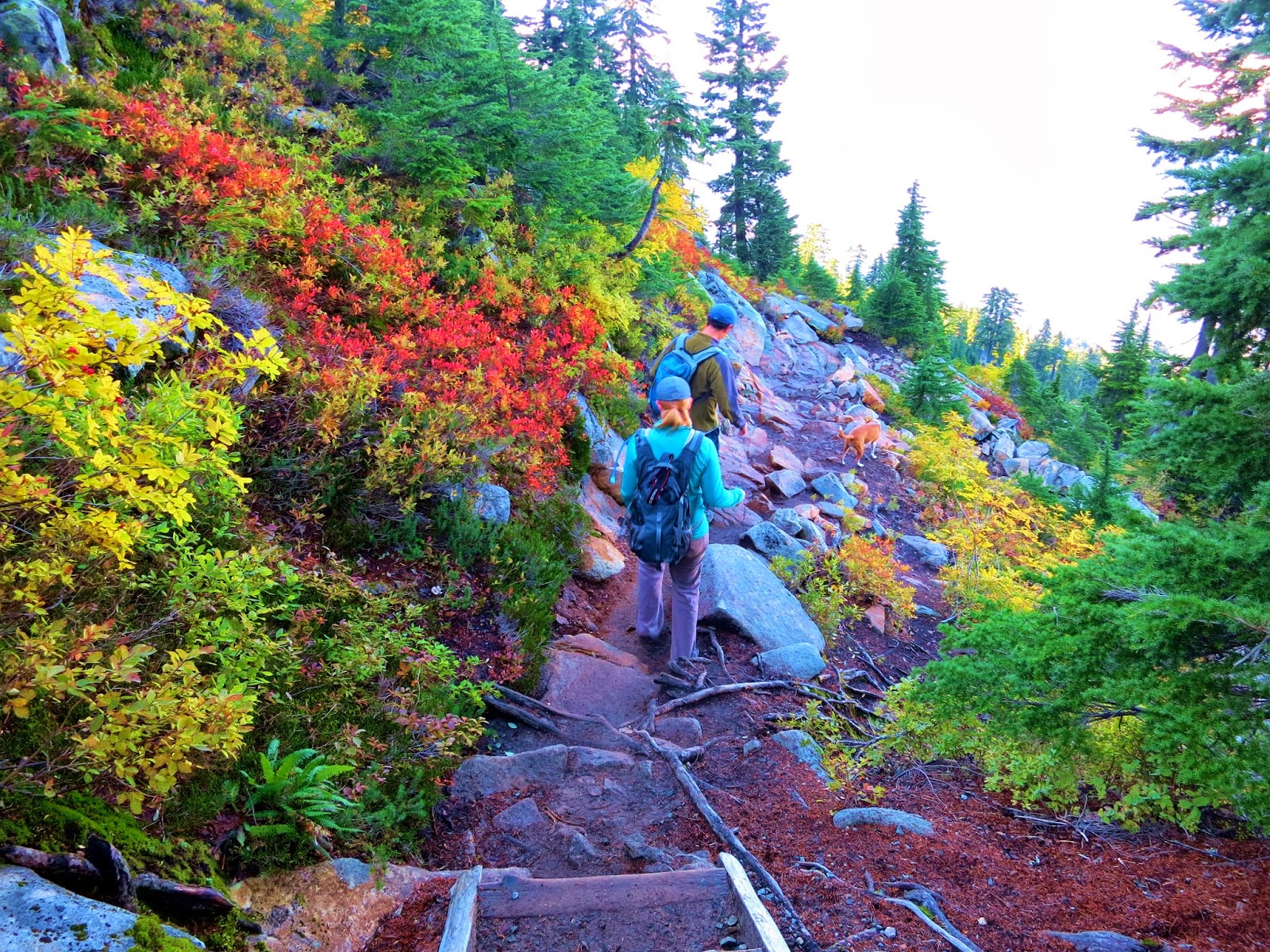 Pacific Northwest Seasons: Great Northwest Fall Hikes: A Few Favorites