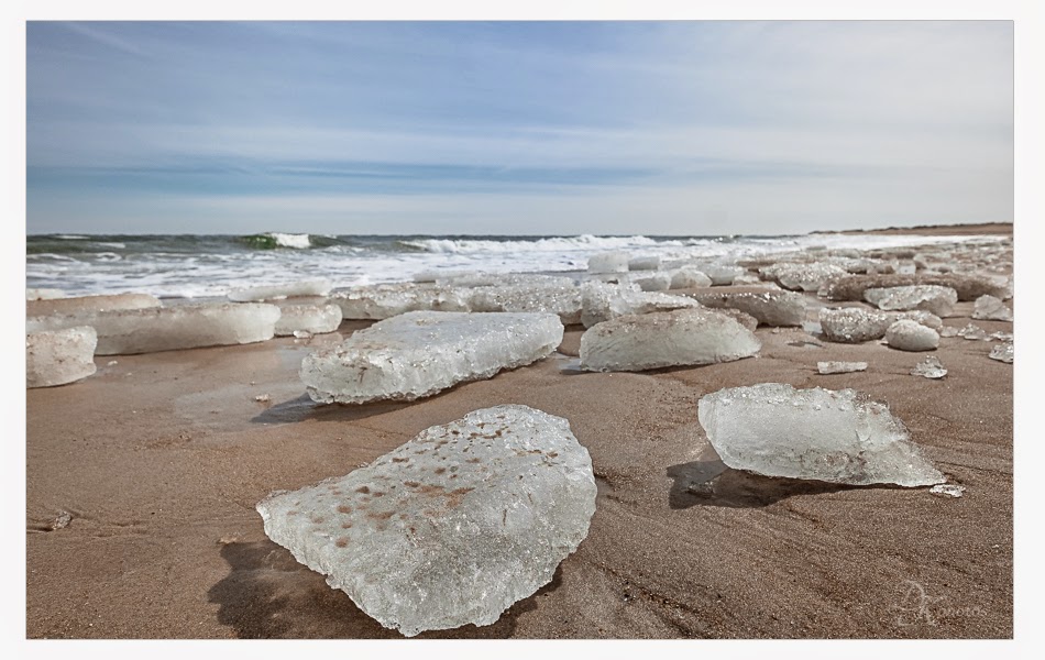 DianaKehoePhotography: 2 | 28 | 2015 Frozen Atlantic Ocean and Delaware Bay