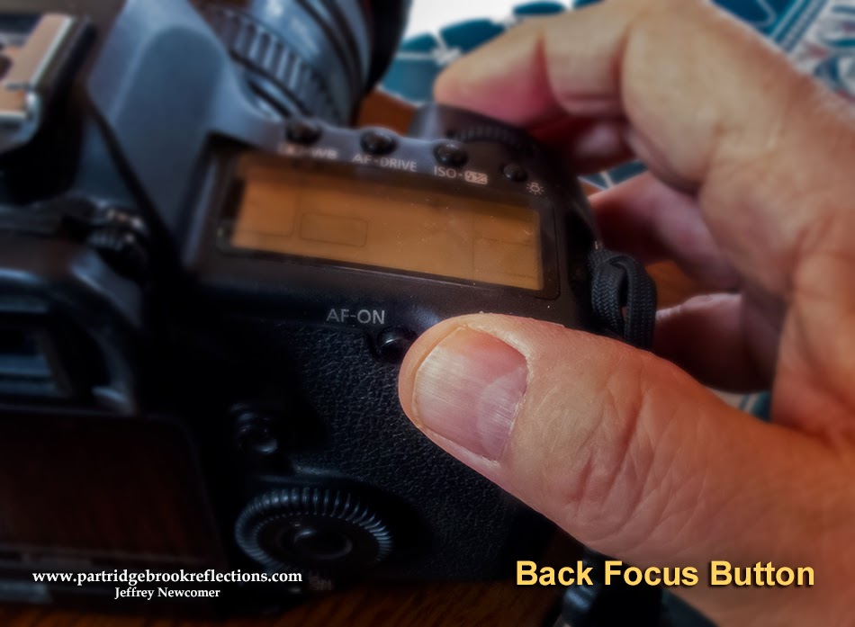 Getting it Right in the Digital Camera : Hand-Held Focus Stacking