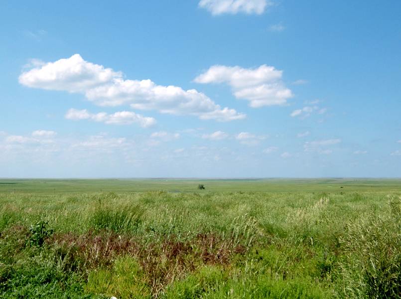 Temperate Grassland