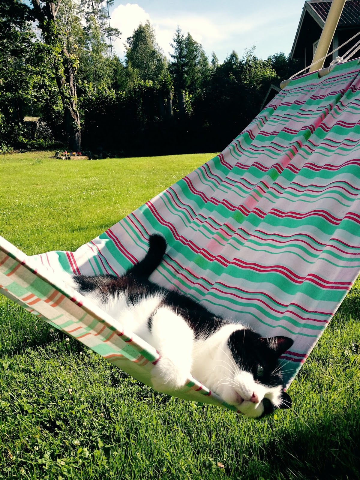 Sol, sommar och semester!