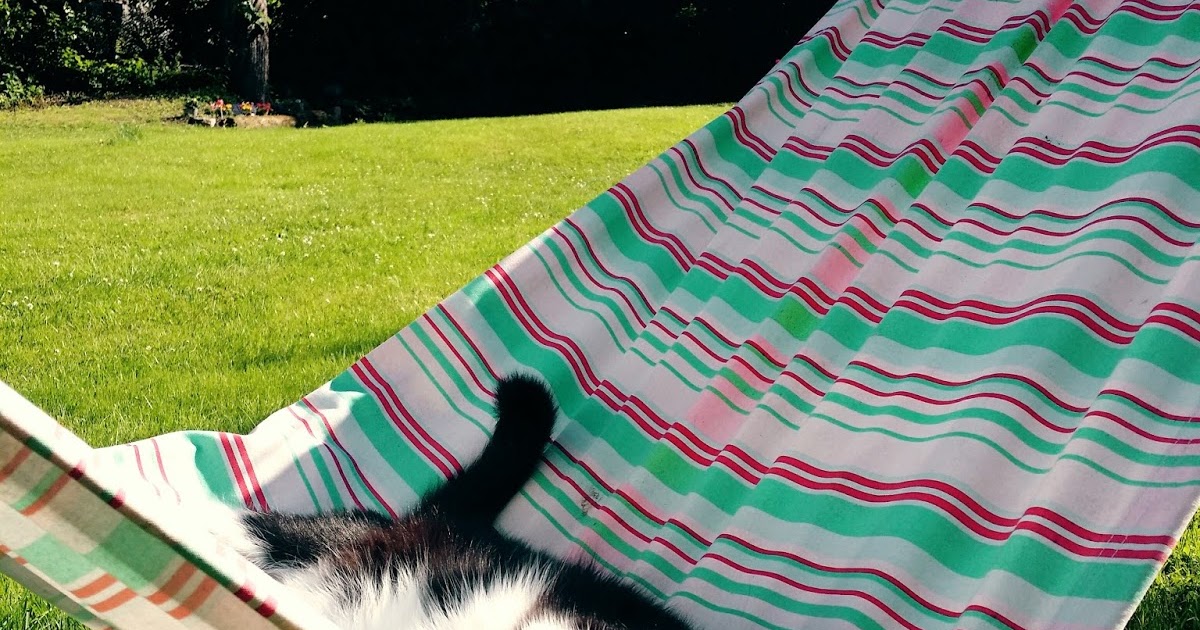 Sol, sommar och semester!