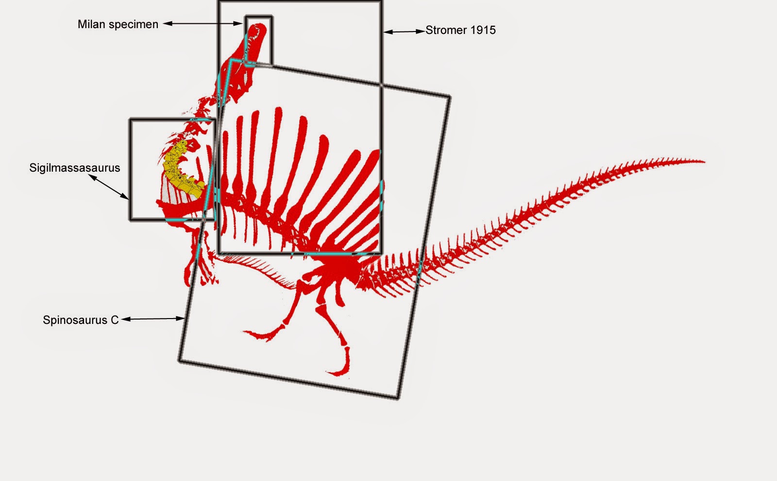 Spinosaurus, Sigilmassasaurus y sus Problemas de Identidad