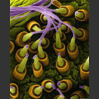 Dry Spinning Process ~ Yarn Manufacturing