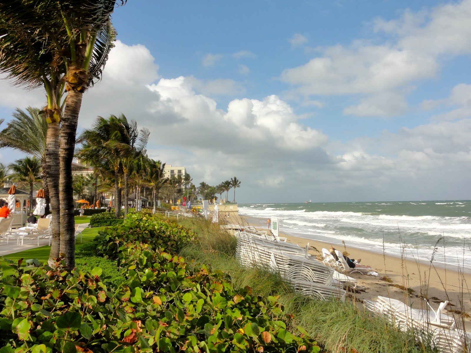 Beach or Forest? | Author Sonia Gensler