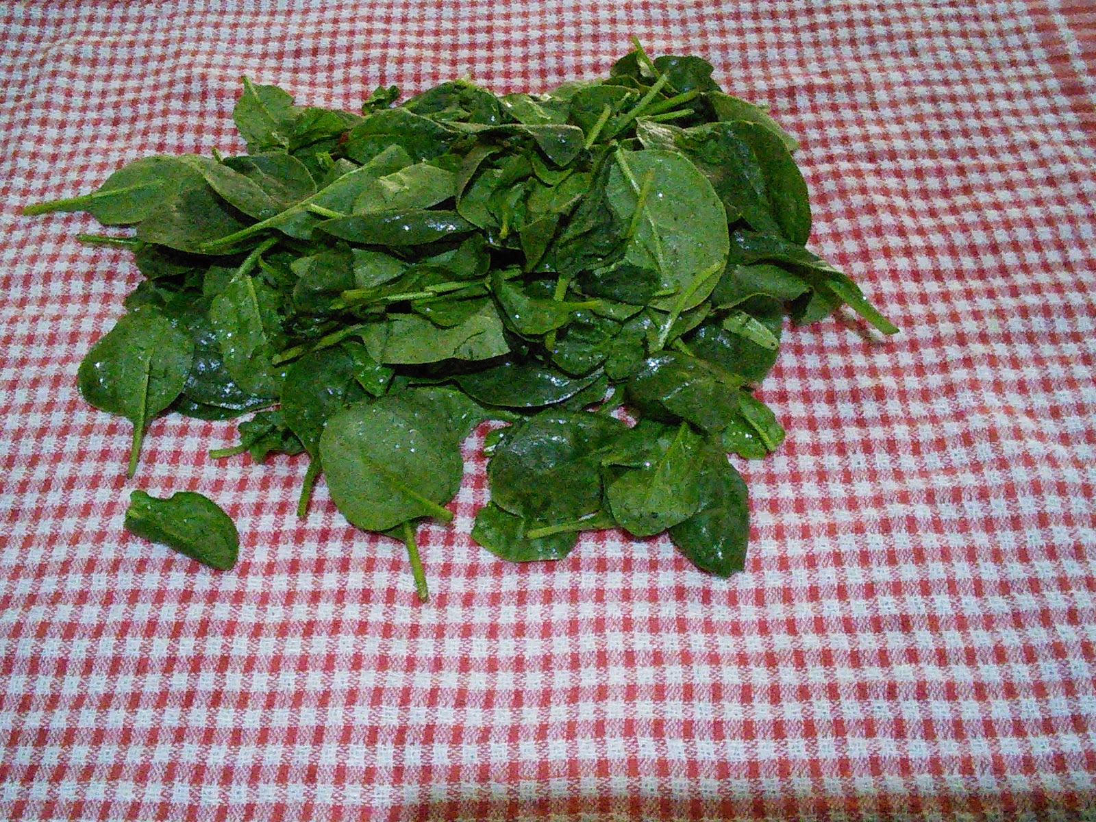 Pickled spinach