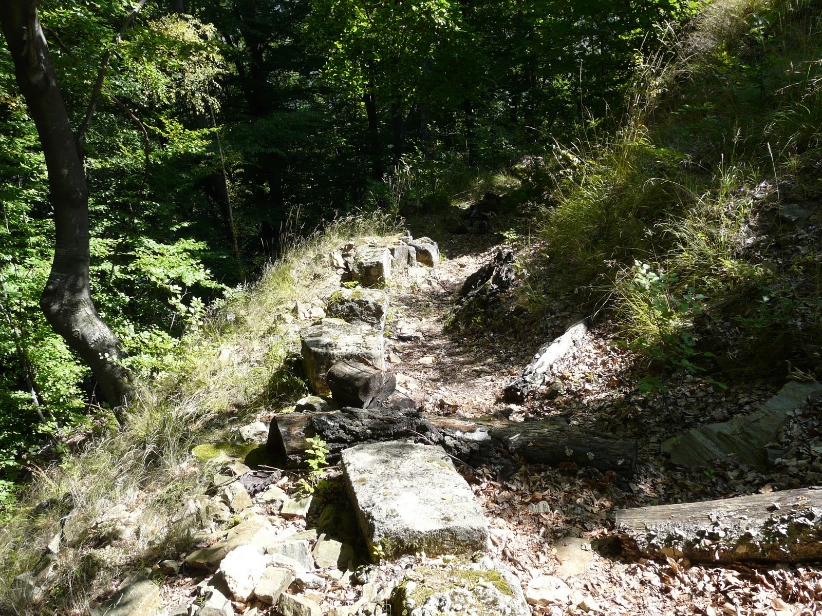 plecat de acasă: Cetatea dacică Căpâlna. Monument UNESCO!