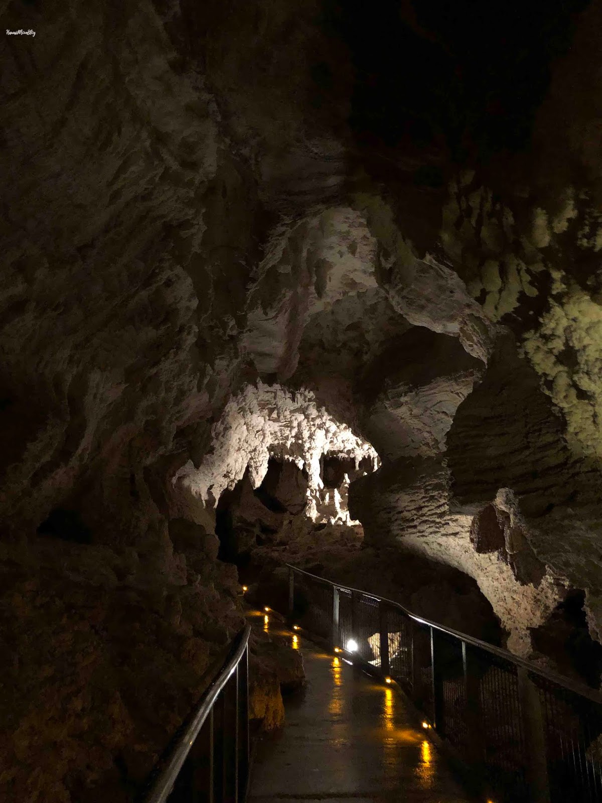 Hawaii Mom Blog: Visit New Zealand: Ruakuri Cave