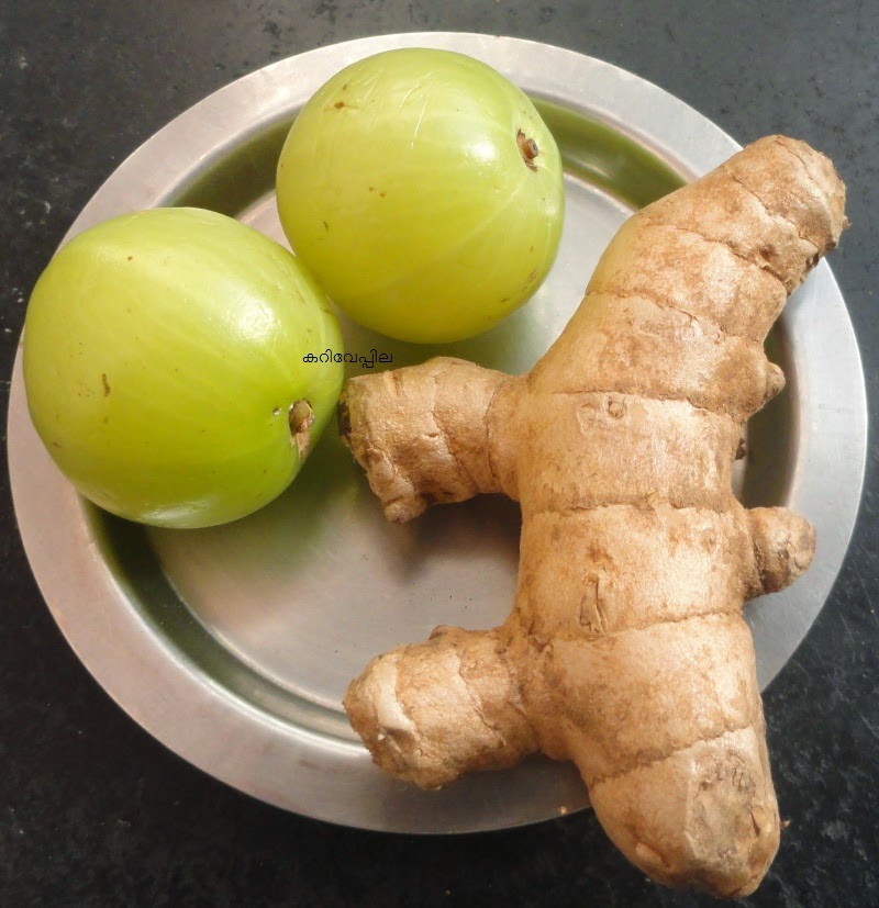 Kariveppila കറിവേപ്പില