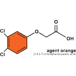 CuZev - Copper Wulff Cassi Creek Seasons: 5 July 2012 From both sides now…