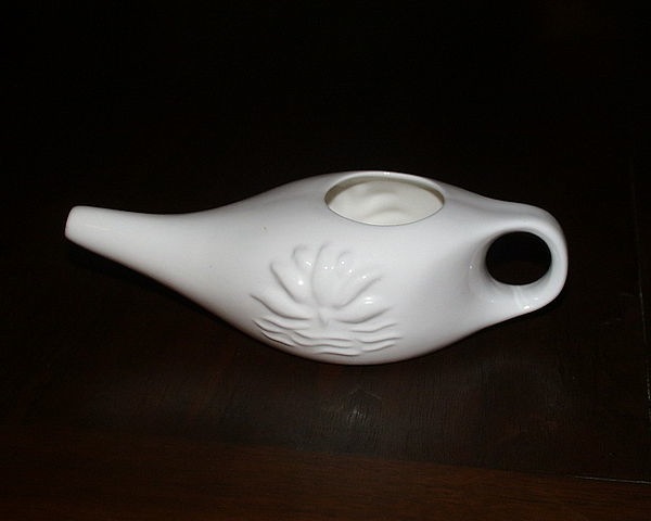 Blogus scientificus: Terror from the Tap: How a deadly amoeba can sneak ...