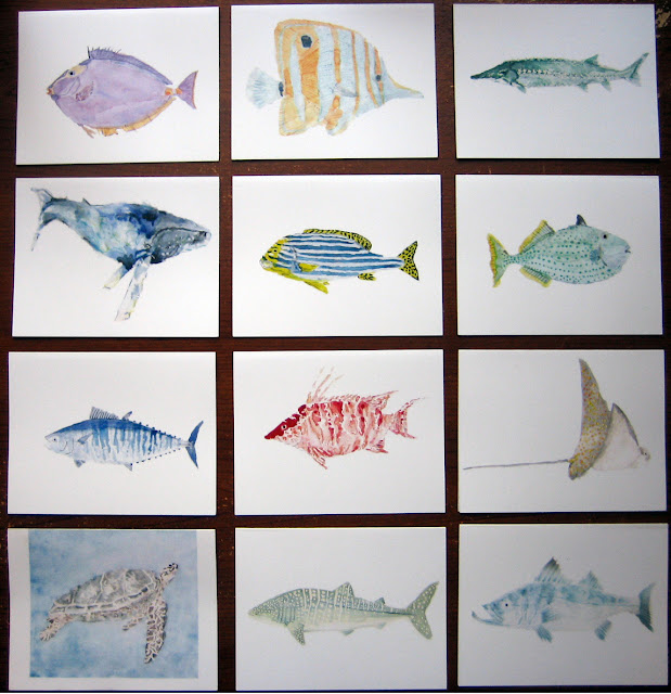 Pescadotes: fish cards