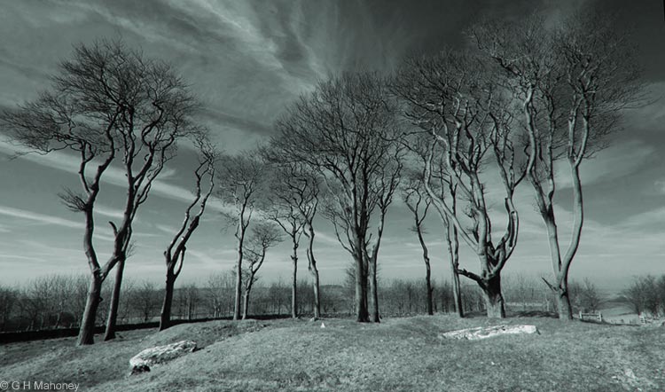 Moorlands and Peak: Minninglow - A Walk