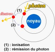 RADIOBIOLOGIE - Cours collaboratif: Mode d’action des rayonnements ...