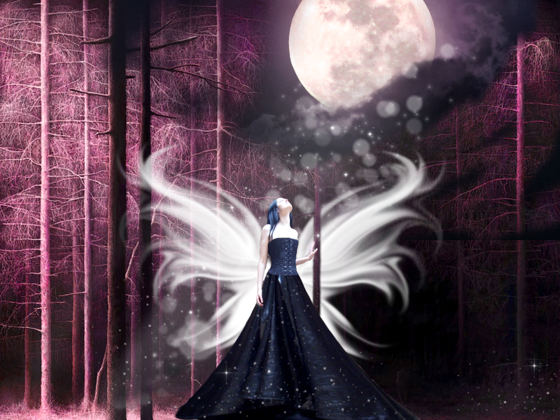 Il Rifugio degli Elfi: Intervallo del Fine Settimana - Le Ali del Fantasy