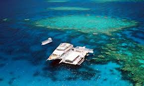 Carole's Chatter: Port Douglas and the Great Barrier Reef