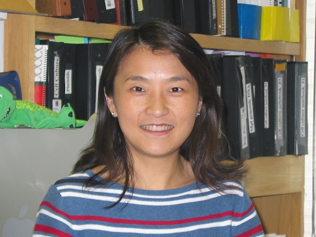 The MPD Foundation Blog