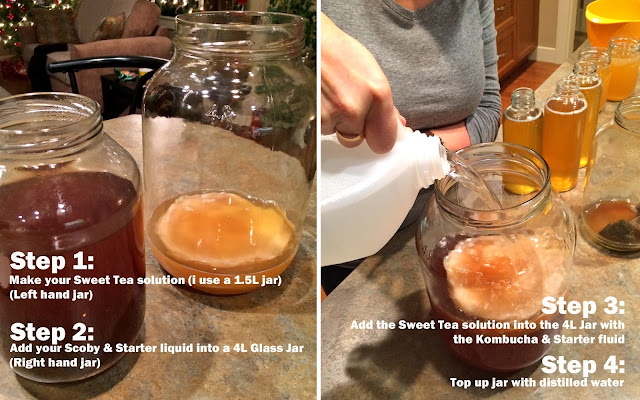 InSpiral Coaching: Make your own Kombucha