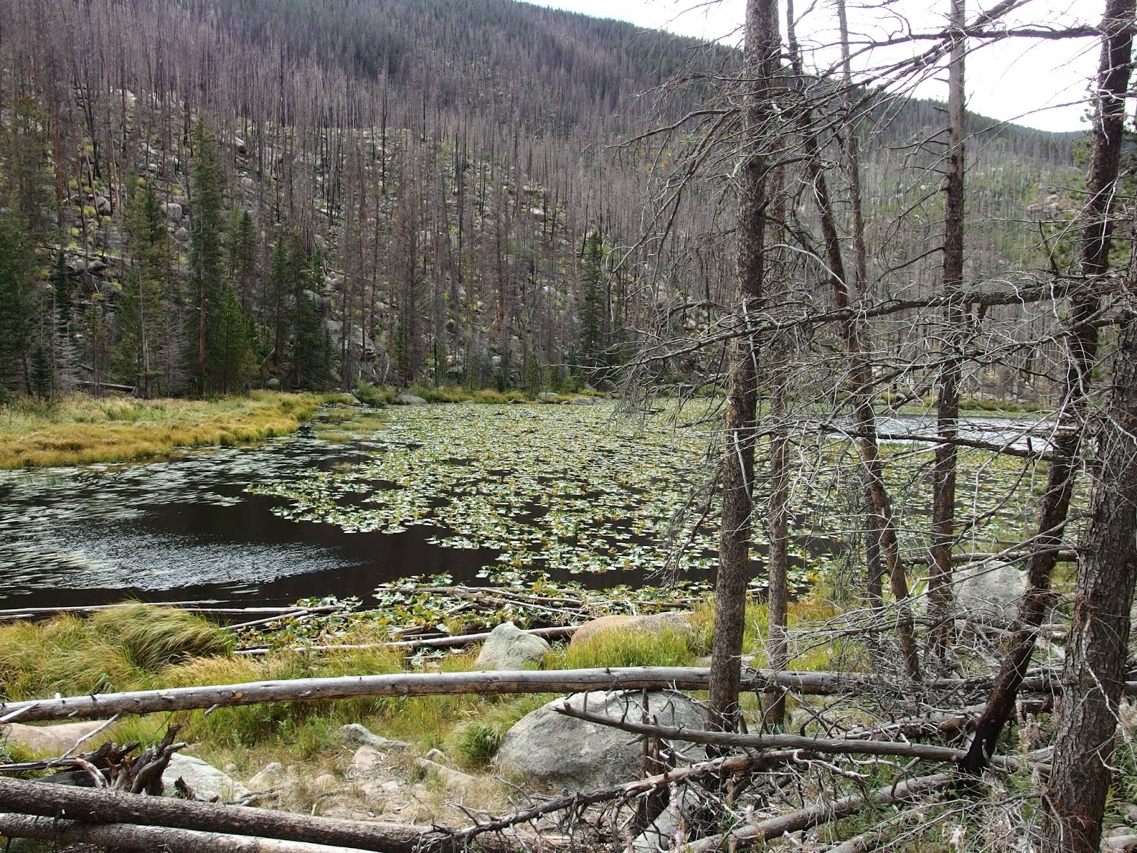 Hiking Rocky Mountain National Park: The Gable, Cub Lake, Cub Creek ...