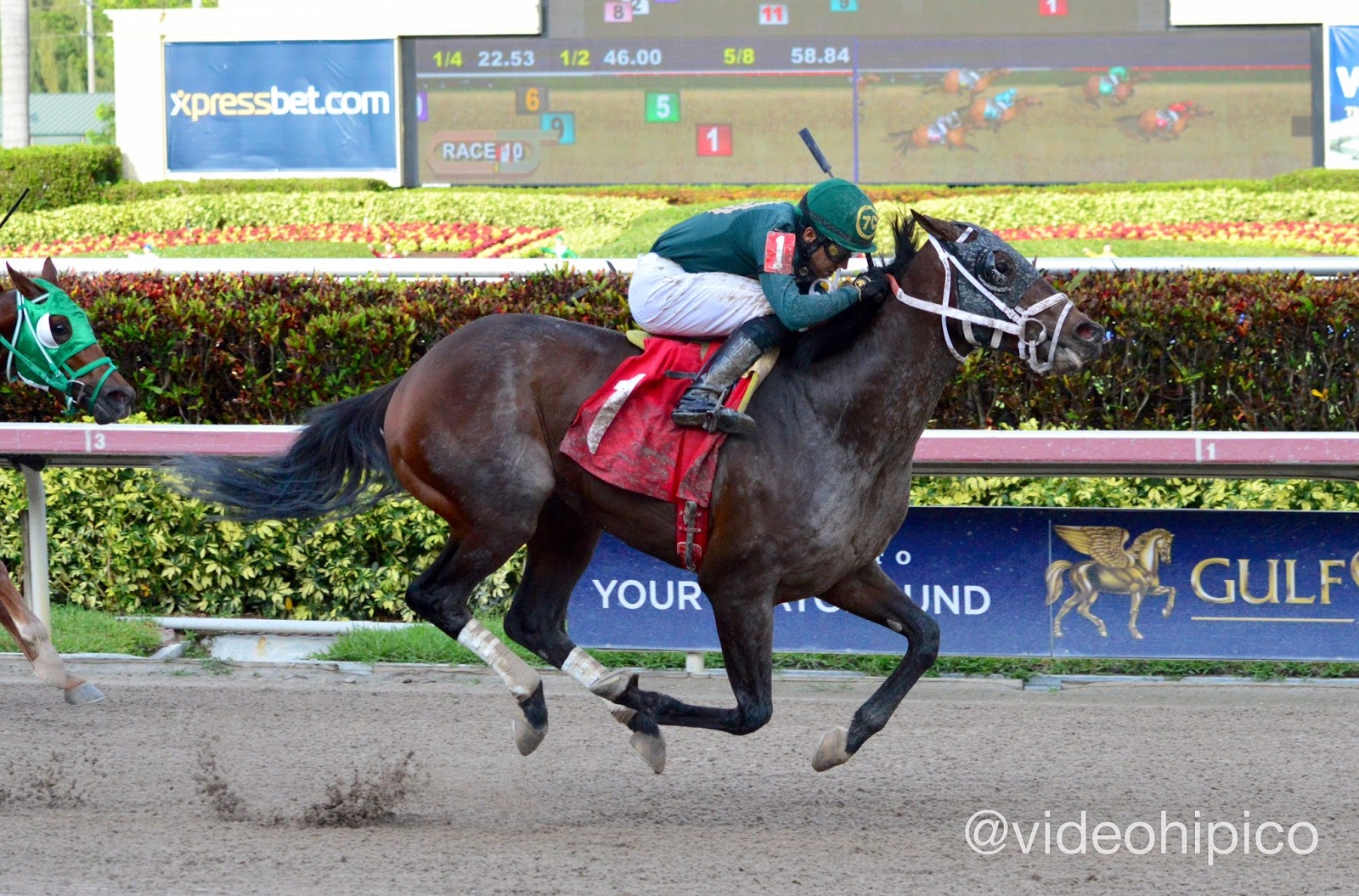 STUD GRUPO 7C ALEJANDRO CEBALLOS: Empresario Alejandro Ceballos alcanzó ...