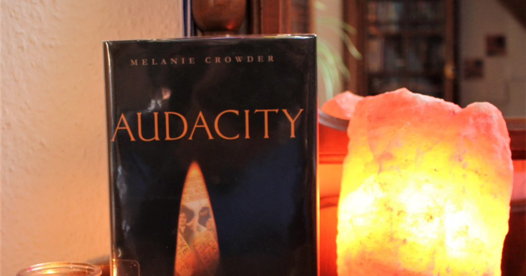 Word Storm: Book Review: Audacity