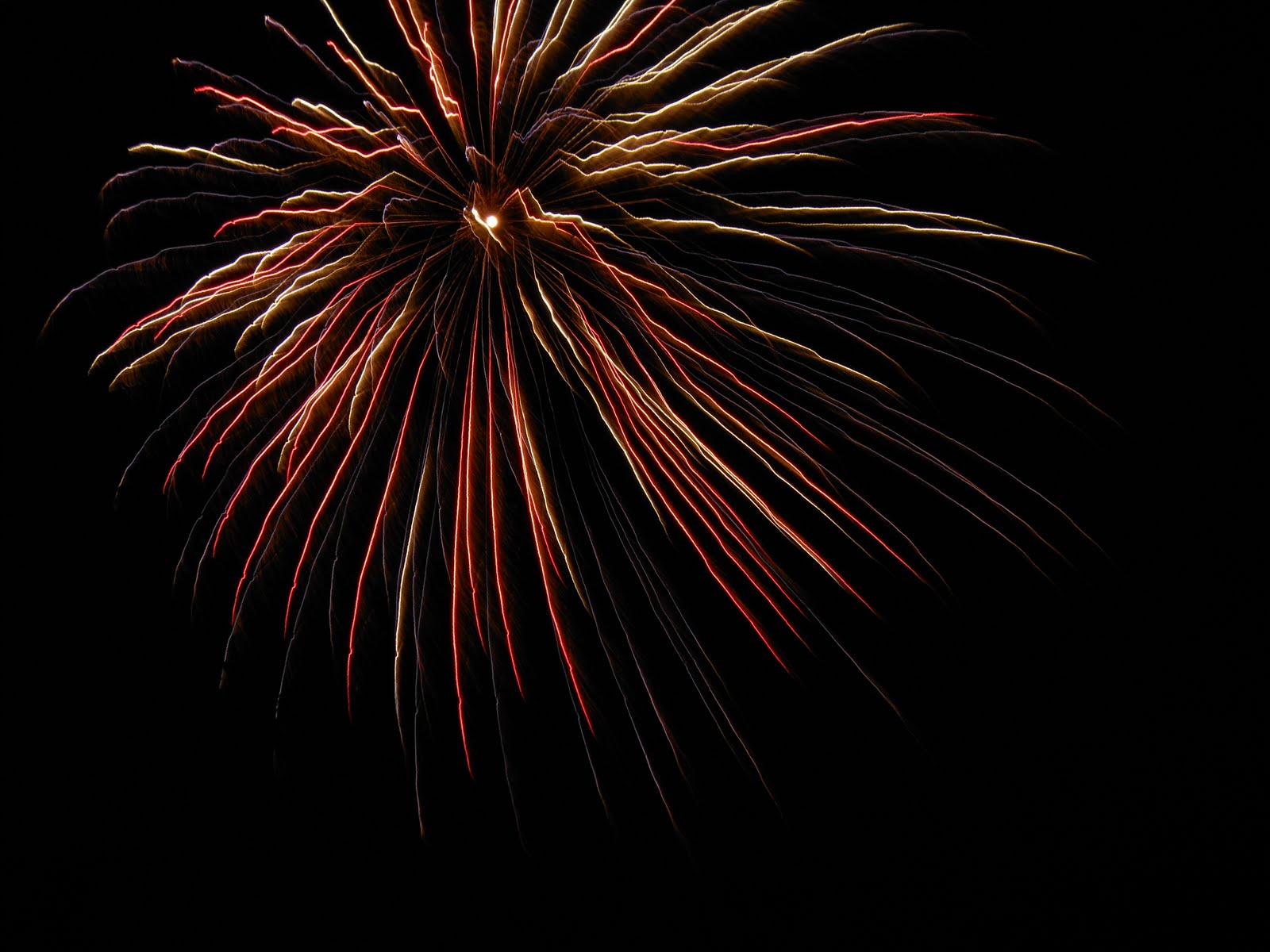 Tay Tay's Random Blog: Cool Fireworks Pics from the 4th