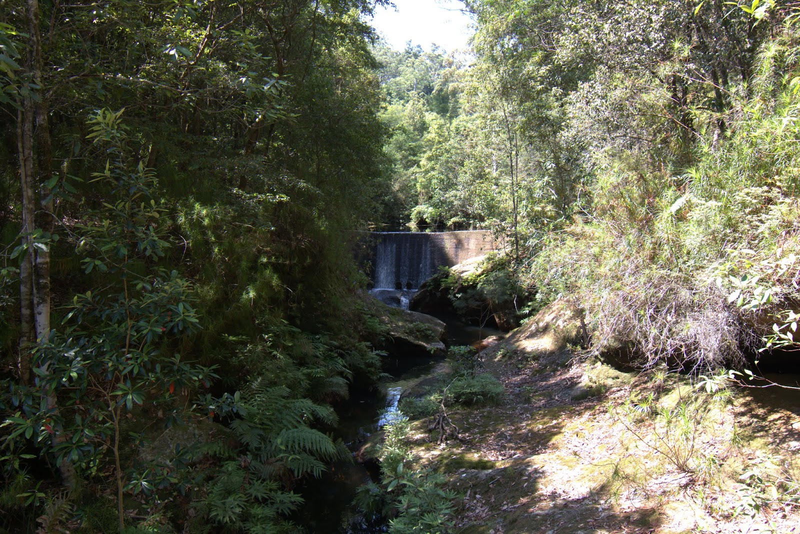 its just my life: Watagans National Park
