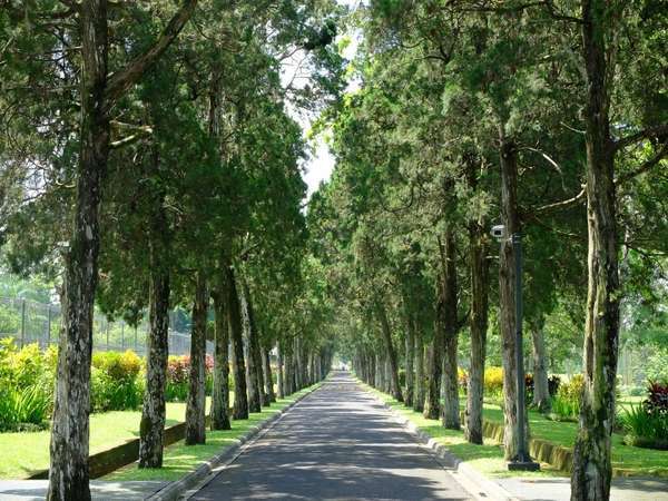 LINGKUNGAN HIDUP INDONESIA: Lingkungan HIjau Indonesia