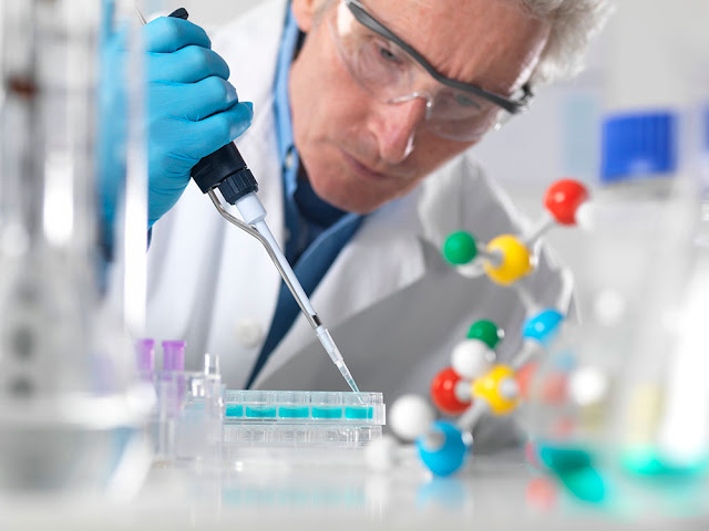 El método científico para mejorar tu productividad - Café Bloguero - Un ...