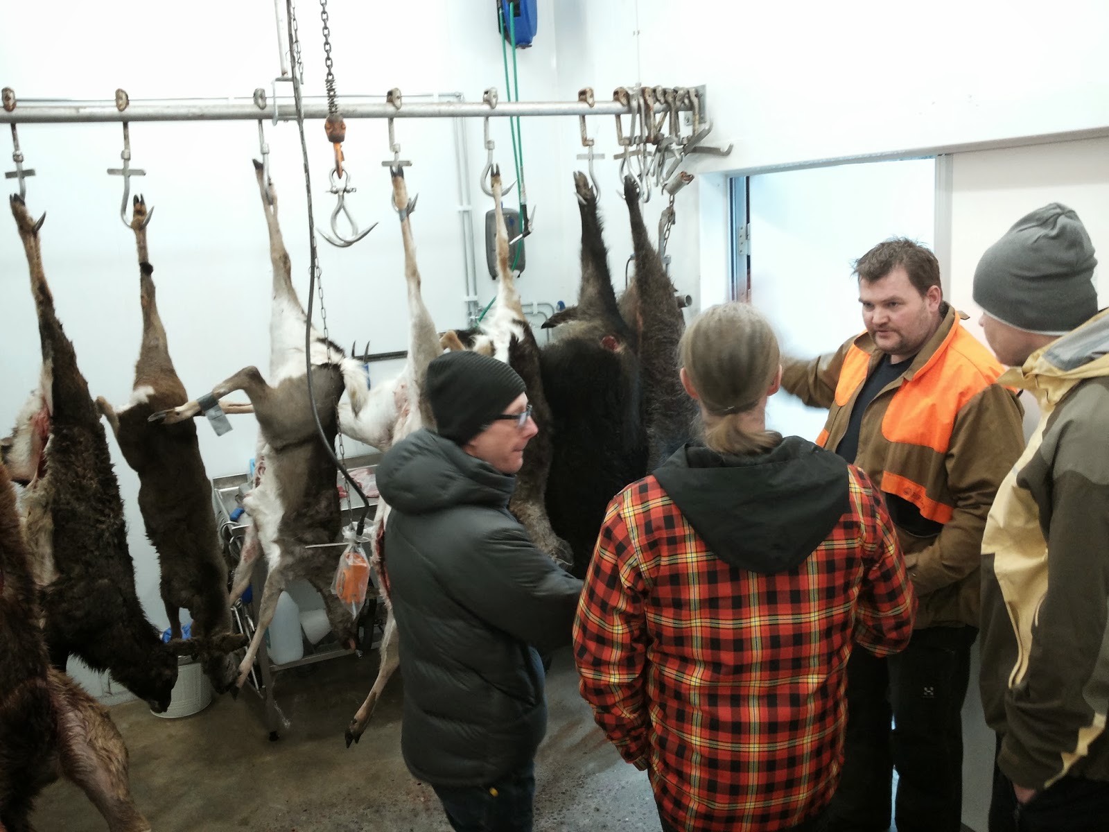 Lindas matresa (Arkiv blogg): Viltkött till alla!